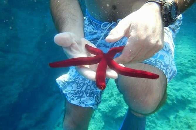 Bodrum Private Gulet Cruise With a Mediterranean Lunch - Traveler Reviews and Feedback