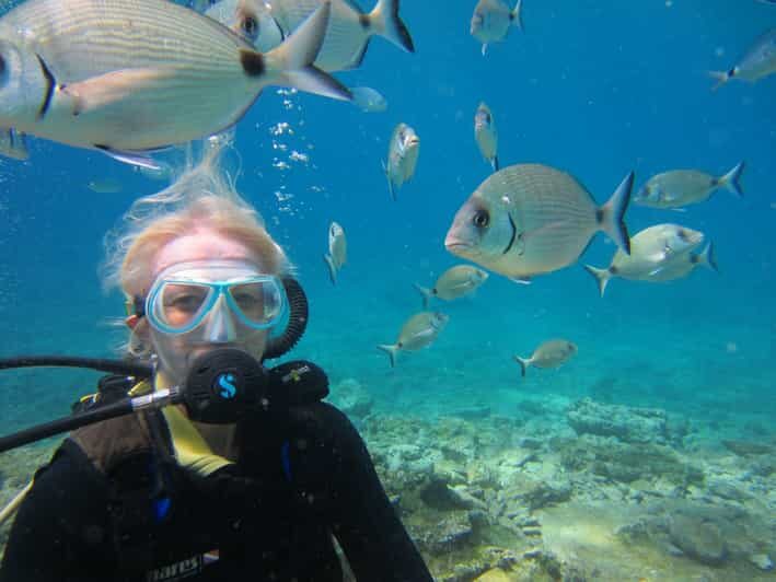 Bodrum: Scuba Diving Trip with Lunch - Key Points