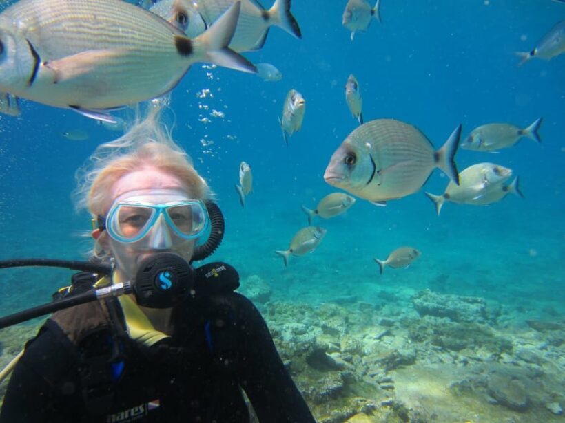 Bodrum: Scuba Diving Trip with Lunch - Is It Worth the Price?