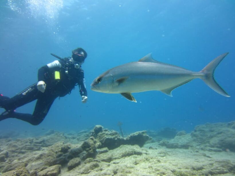 Bodrum: Scuba Diving Trip with Lunch - The Sum Up