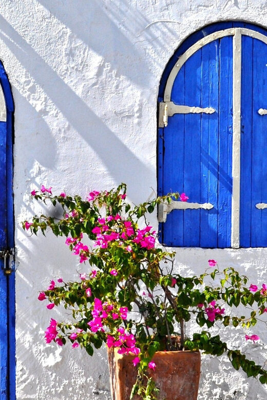Bodrum: Traditional Village Tour with Lunch - Who Should Book This Tour?