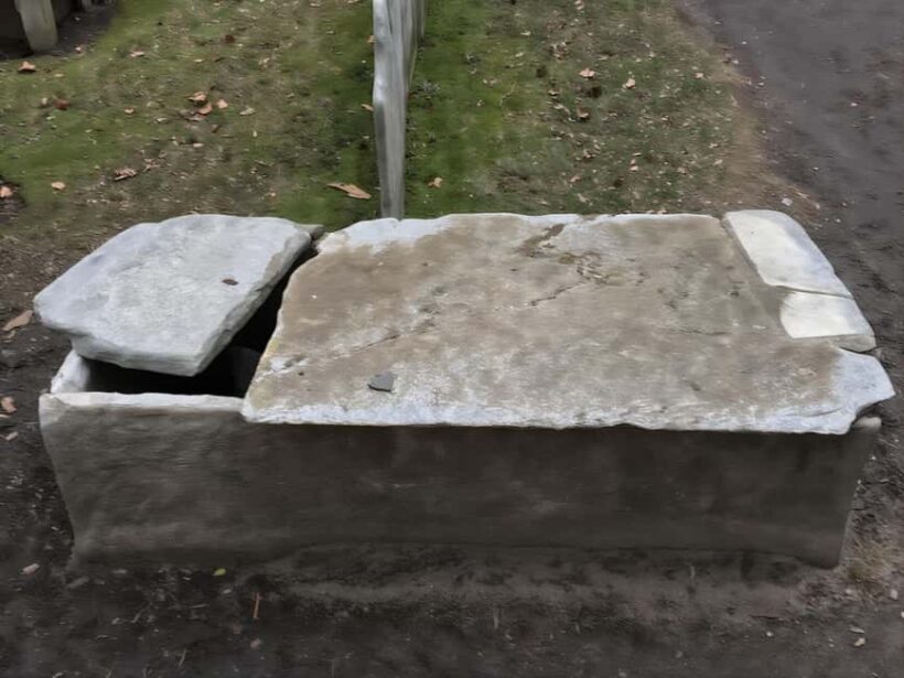 Body Snatchers of New York - Who Will Enjoy This Tour?