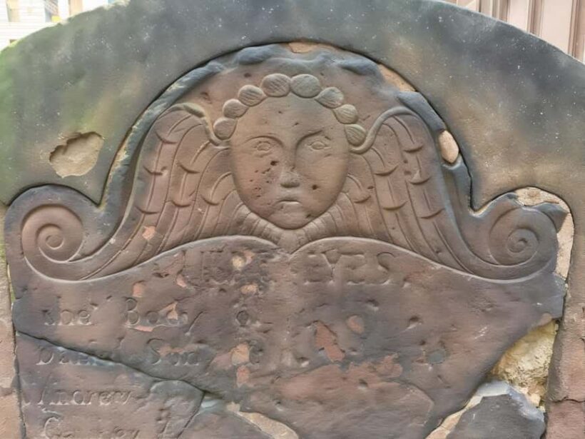 Body Snatchers of New York - Key Points