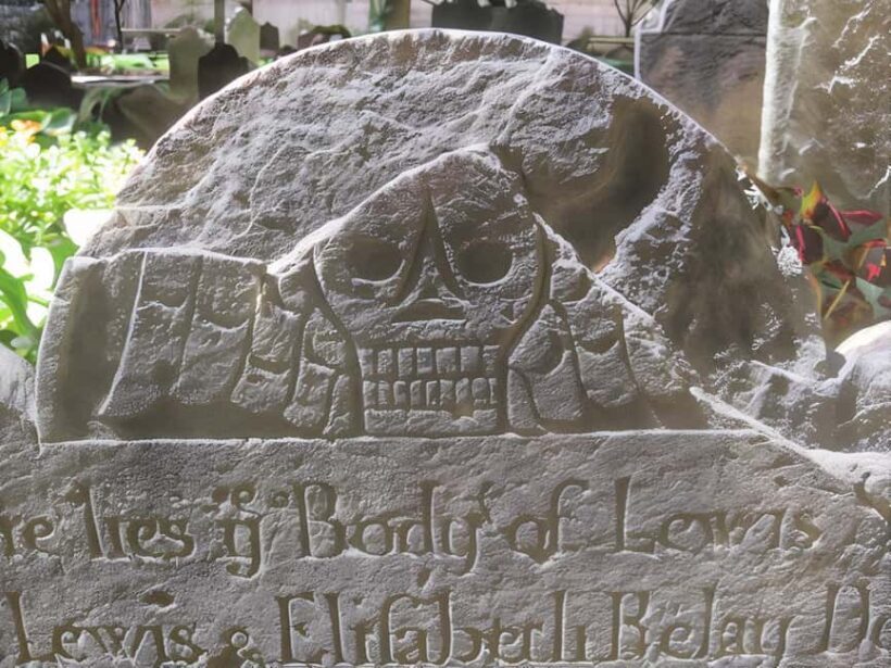 Body Snatchers of New York - Authentic Insights from Reviews