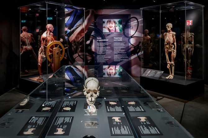 Body Worlds Amsterdam Fast-lane Ticket - The Reviews: Authentic Perspectives from Visitors