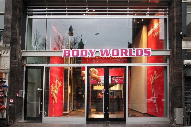 Body Worlds Amsterdam Fast-lane Ticket - Analyzing the Value