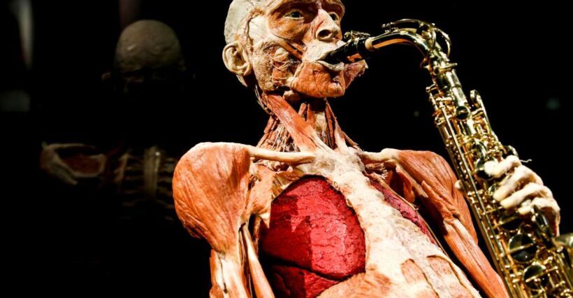 Body Worlds Amsterdam: The Happiness Project Ticket - A Detailed Look at the Experience
