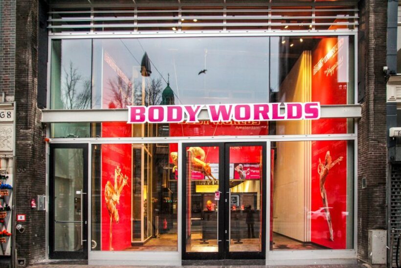 Body Worlds Amsterdam: The Happiness Project Ticket - Authentic Perspectives from Visitors