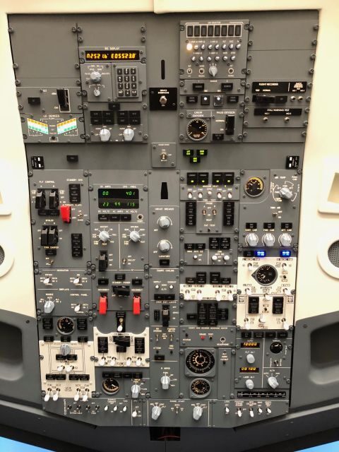 Boeing 737-800 Professional simulator - 30 minutes - Who Will Love This?