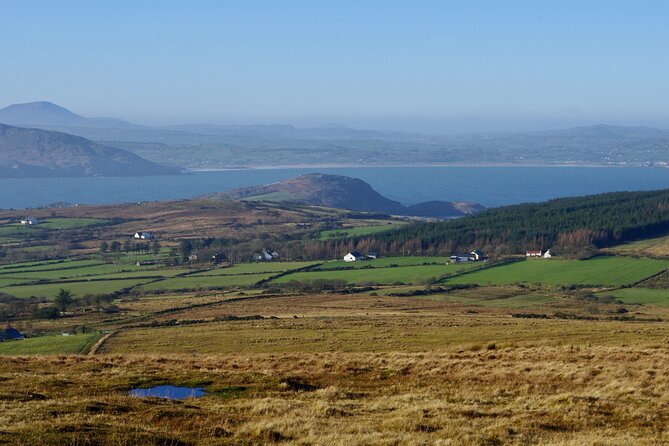 Bog Safari Hike - Exploring Irelands Ancient Bogs