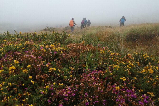 Bog Safari Hike - Impact of Climate Change on the Bog