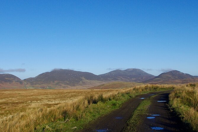 Bog Safari Hike - Scenic Views Along the Wild Atlantic Way