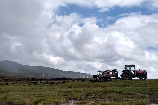 Bog Safari Hike - Tour Guide and Additional Services