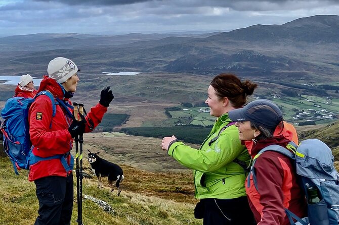 Bog Safari Hike - Participation Requirements and Feedback