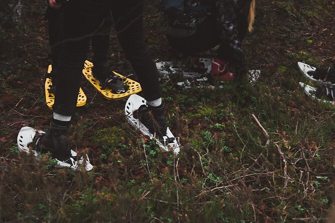 Bog-shoe Hiking Tour - The Experience’s Highlights: Wildlife, Legends, and Landscape