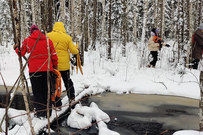 Bog-shoe Hiking Tour - Final Thoughts: A Truly Authentic Natural Experience