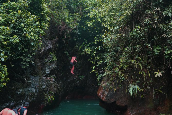 Bogor Botanical Garden & Rainforest Trekking to Hidden Waterfall - Who Would Love This Tour?