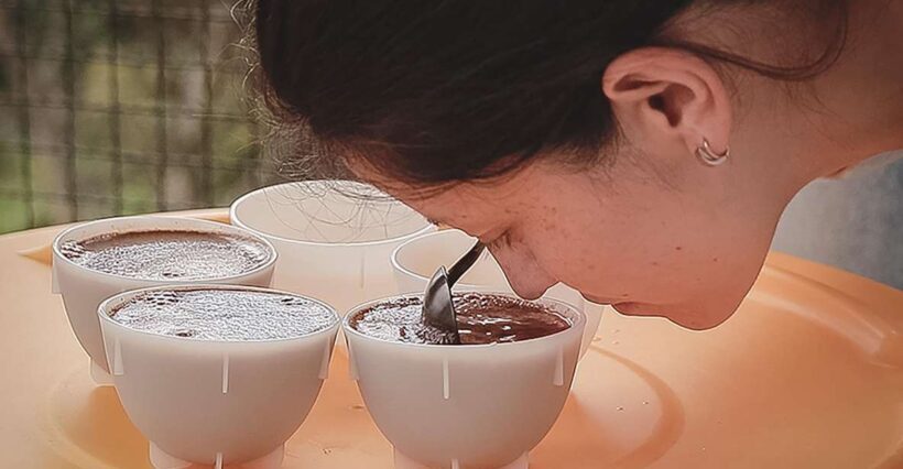 Bogota: Expert curated Colombian Coffee cup tasting workshop - The Value of the Experience