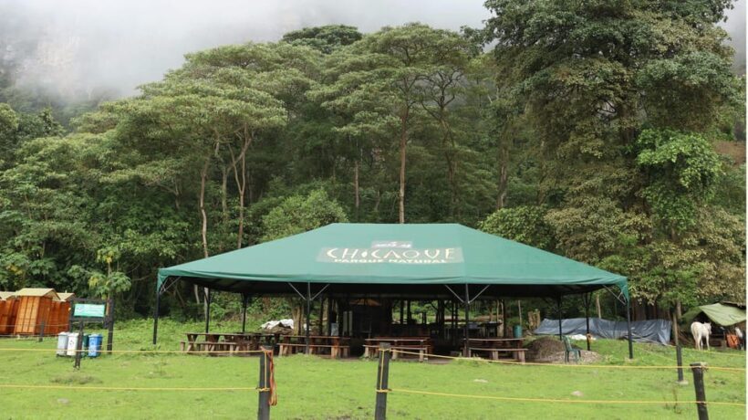 Bogota: Explore the forest and bird watching at Chicaque Natural Park - The Trails and Biodiversity