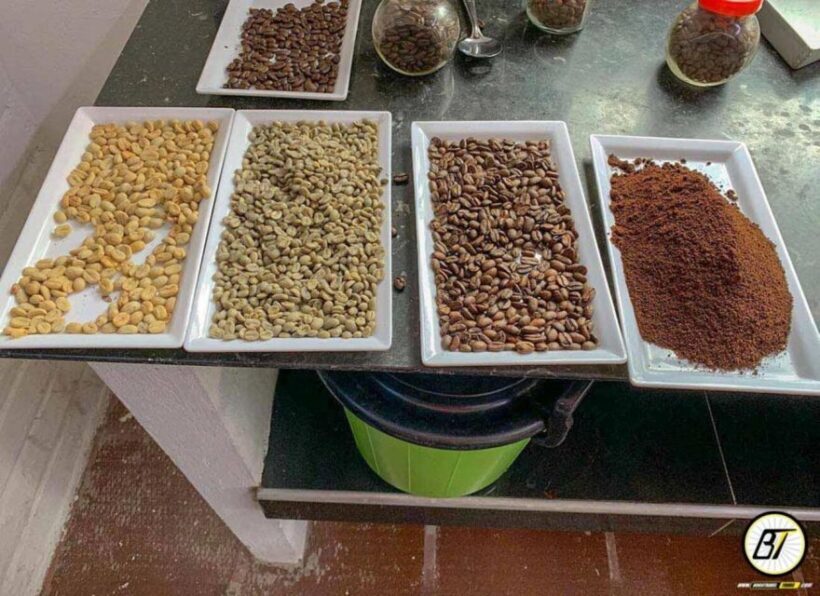 Bogotá: Guided Coffee Tour with Lunch, and Pickup & Drop-Off - Key Points