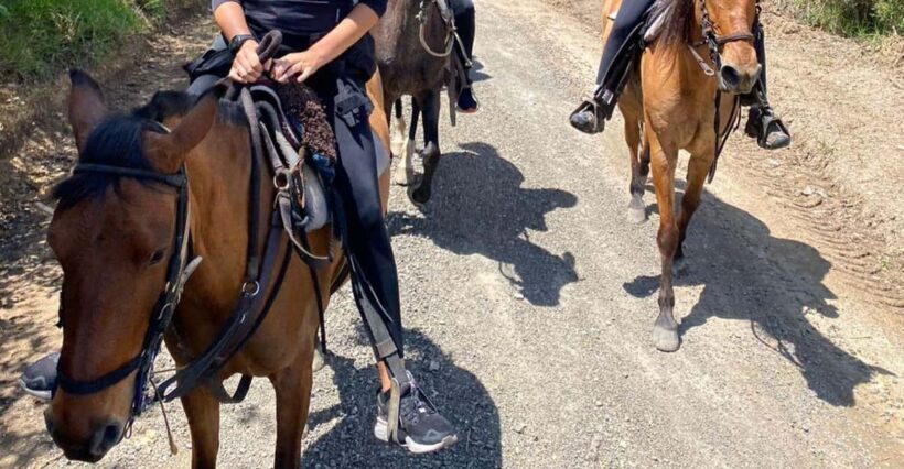 Bogota: Horseback Riding through the Eastern Hills - Who Should Consider This Tour?