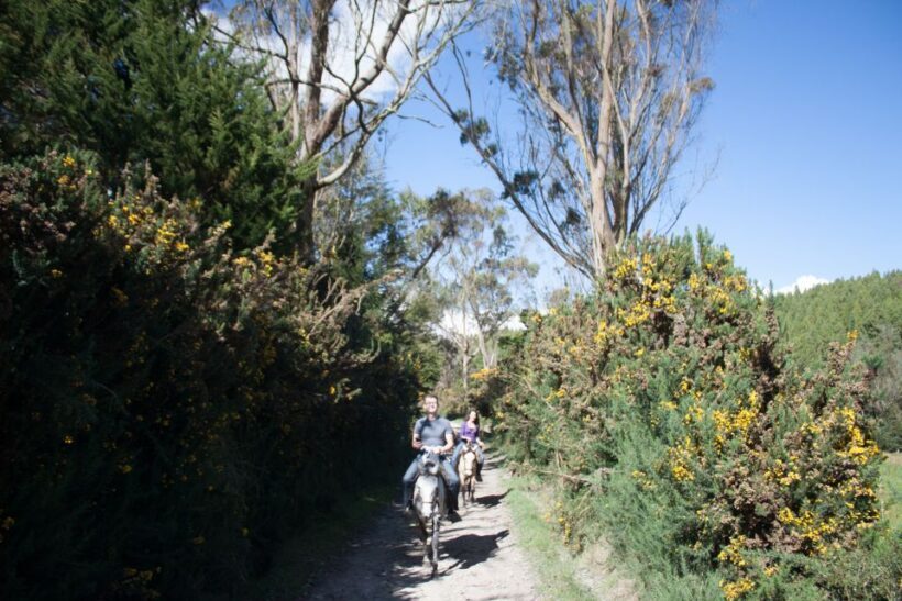 Bogota: Horseback Riding Tour - Introduction