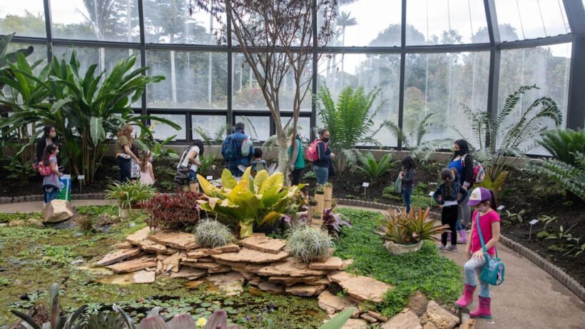 Bogotá: Jose Celestino Botanical Garden and Gudalupe Hill - An In-Depth Look at the Experience