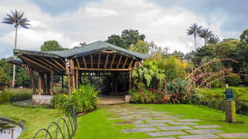 Bogotá: Jose Celestino Botanical Garden and Gudalupe Hill - Authentic Experiences and Real Feedback