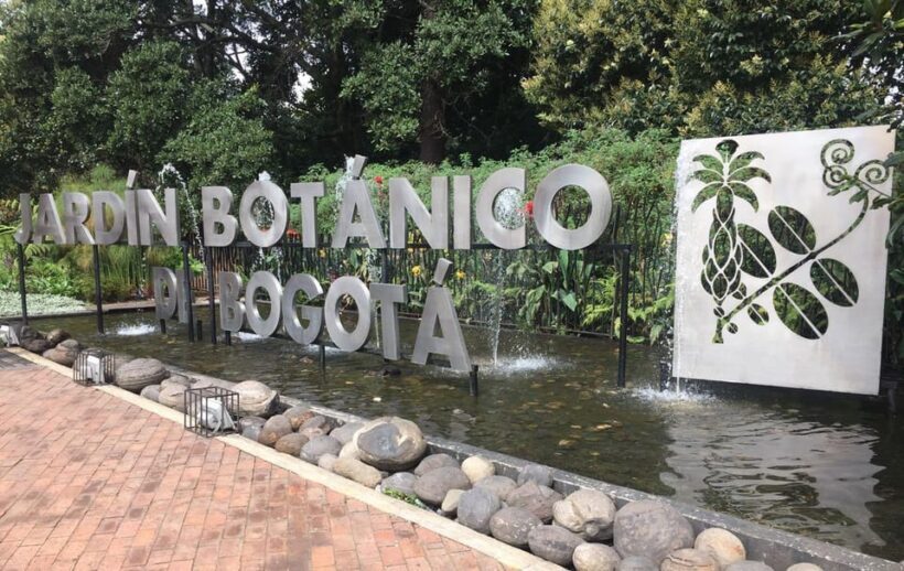 Bogotá: Jose Celestino Botanical Garden and Gudalupe Hill - Who Will Appreciate This Tour?