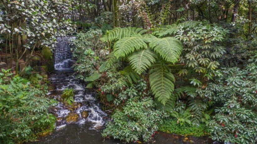 Bogotá: Jose Celestino Botanical Garden and Gudalupe Hill - Final Thoughts: Why You Should Consider This Experience