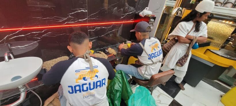 Bogota: Roasting Experience Tour with Exotic Coffee - The Sum Up: Who Will Love This Experience?