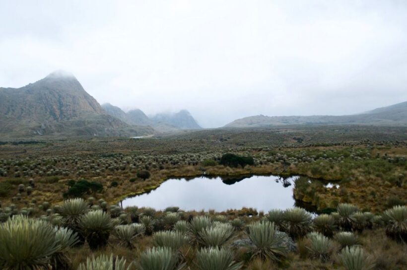Bogotá: Sumapaz National Park Hike Tour - The Value of the Experience and Price Considerations