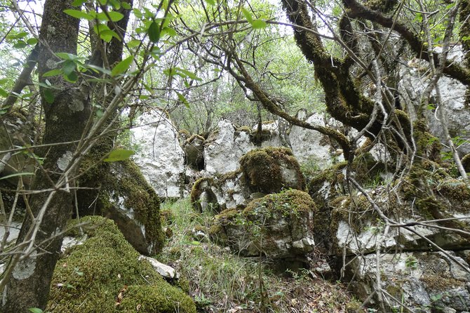 BOGOVA WATERFALL & WINERY TOUR From Berat by 1001 AA - Tour Characteristics and Accessibility