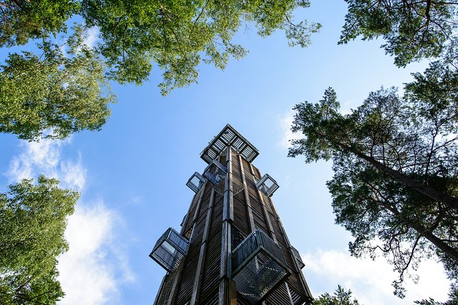 Bogs and Resorts in Jrmala - Authentic Insights and Traveler Reviews