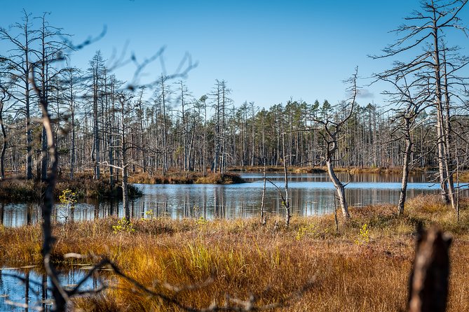 Bogs and Resorts in Jrmala - Practical Details That Matter