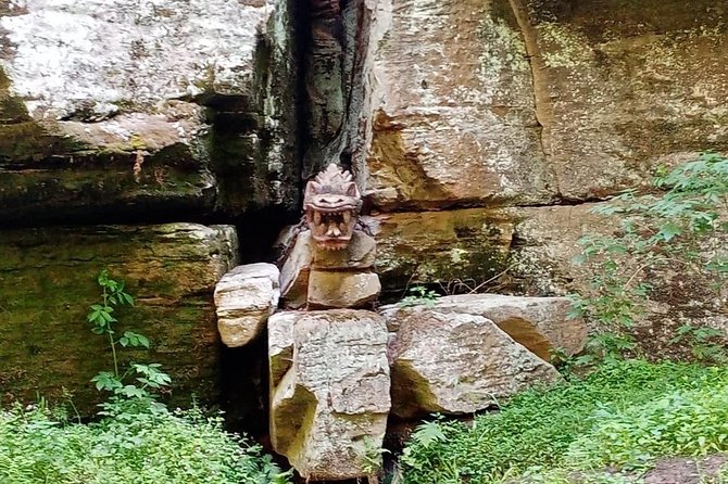 Bohemian and Saxon Switzerland National Park Day Trip From Dresden - Dining and Culinary Experiences