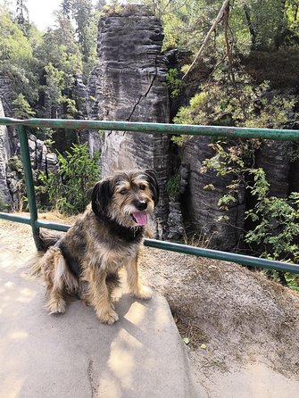 Bohemian Paradise (Czech Paradise) UNESCO Geopark Nature Walks - Unique Sandstone Formations