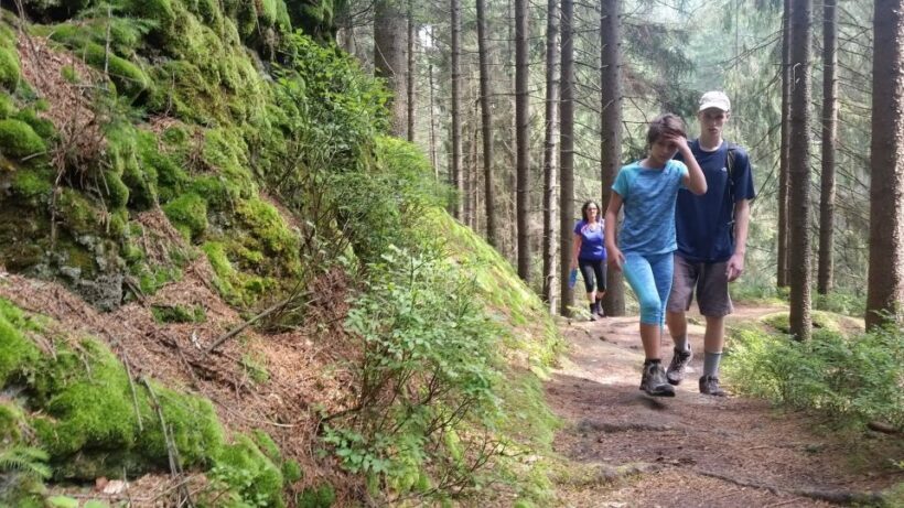 Bohemian Switzerland: Private Day Trip from Prague - An In-Depth Look at the Tour