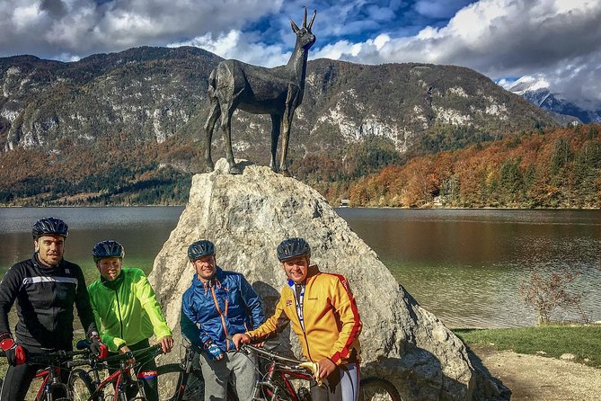 Bohinj Valley Bike Adventure - Booking Details