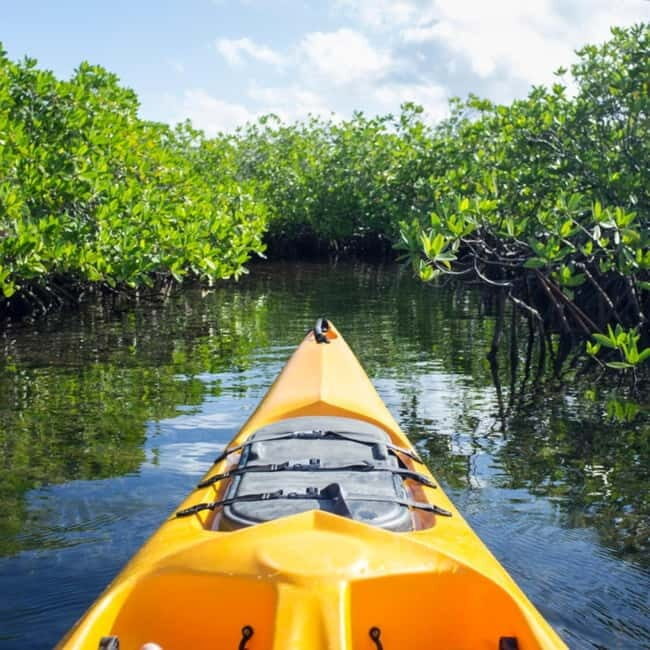 Bohol: Alburquerque Recreational Tour - Exploring the Alburquerque Recreational Tour