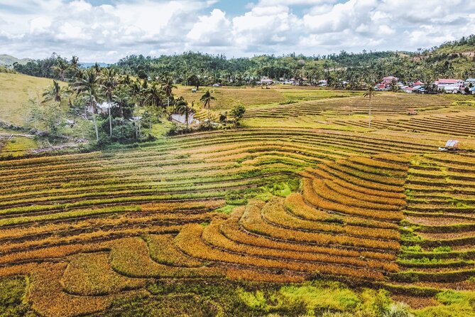 Bohol Alicia Panoramic Park - Key Points
