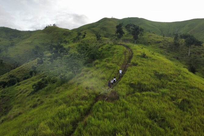 Bohol Alicia Panoramic Park - Why This Tour Scores Highly