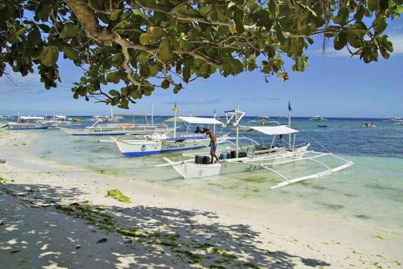 Bohol Balicasag Is Private Tour and Dolphin Watching - Key Points