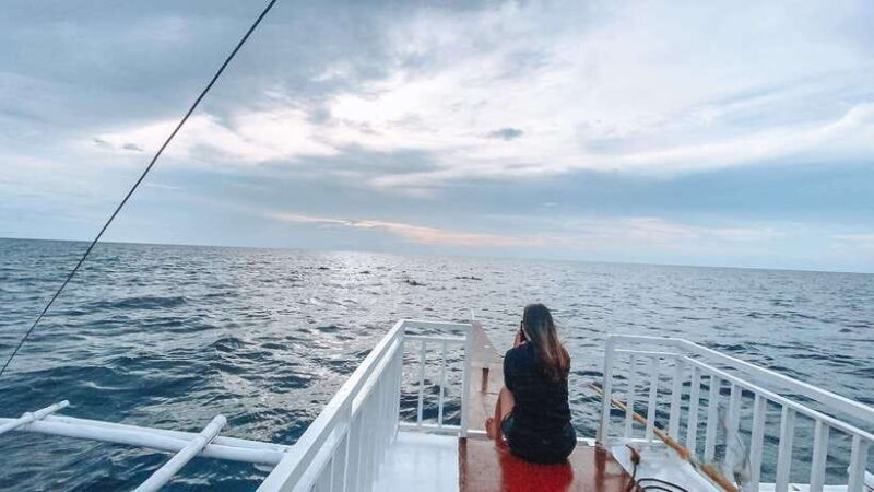 Bohol Balicasag Is Private Tour and Dolphin Watching - Practical Tips for a Great Day