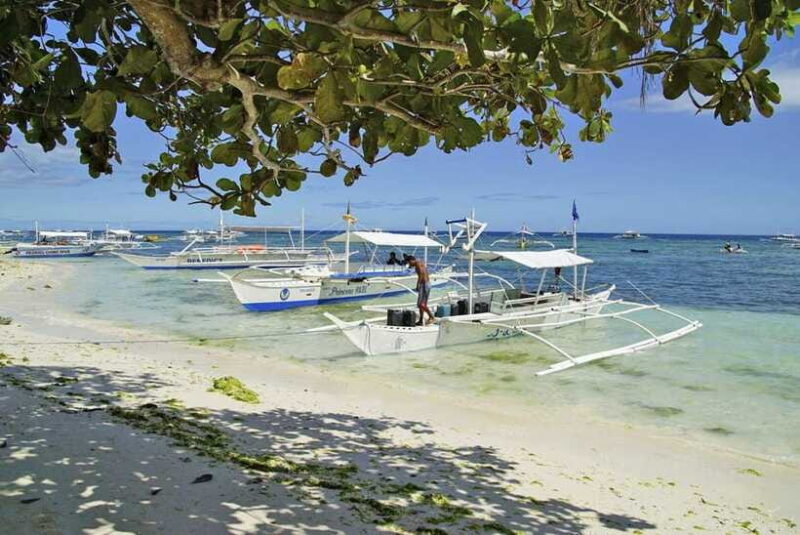 Bohol Balicasag Is Private Tour and Dolphin Watching - Final Thoughts