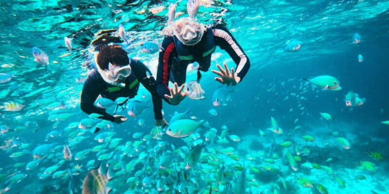 Bohol: Balicasag Private Island Hopping Tour - FAQ