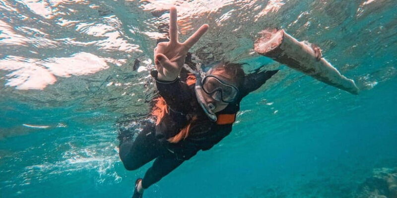 Bohol: Balicasag Shared Island Hopping Tour - Authentic Experiences and Traveler Insights