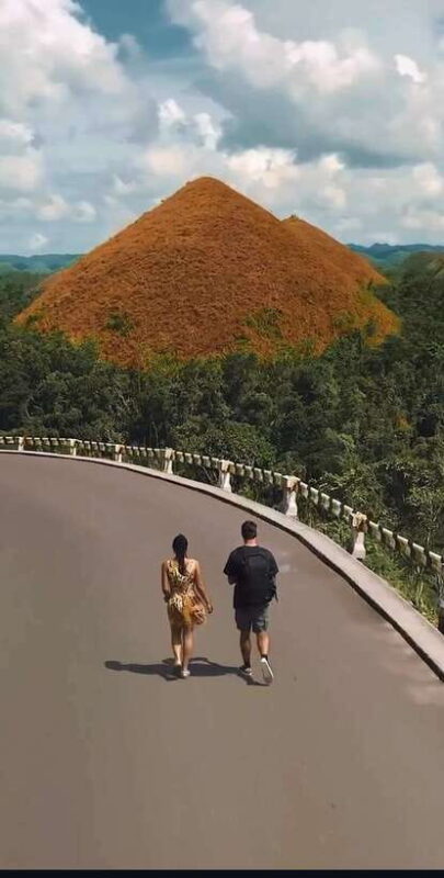 Bohol: Budget Chocolate Hills & Tarsiers -Backpacker Special - Transport and Logistics