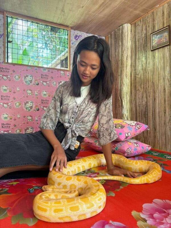 Bohol: Budgeted Countryside with Buffet Lunch Private Tour - Who Will Love This Tour?