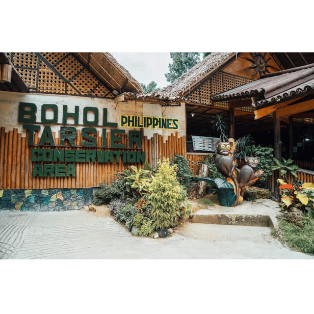Bohol: Choco Tour + Rio Verde Lunch Buffet - Who Will Love This Tour?